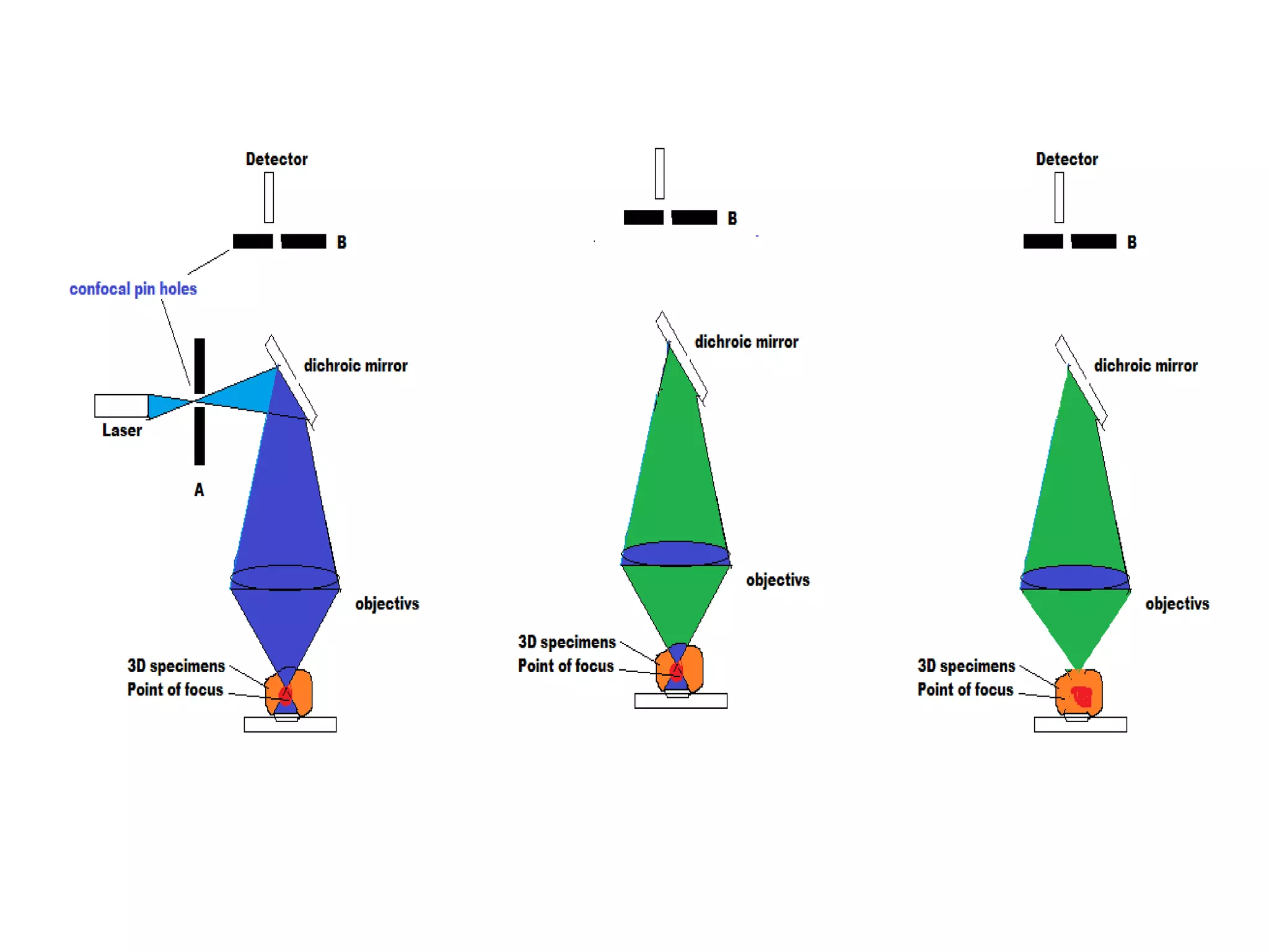 Cofocal microscope | PPTX