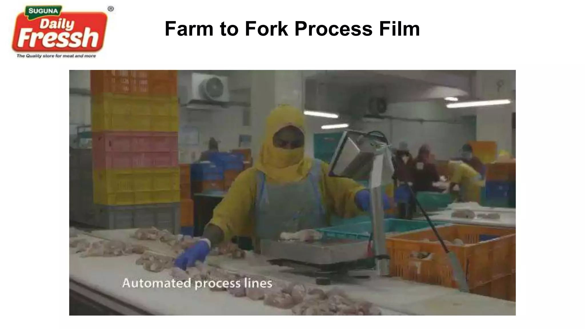 Cofo model deck suguna daily fresh | PPTX