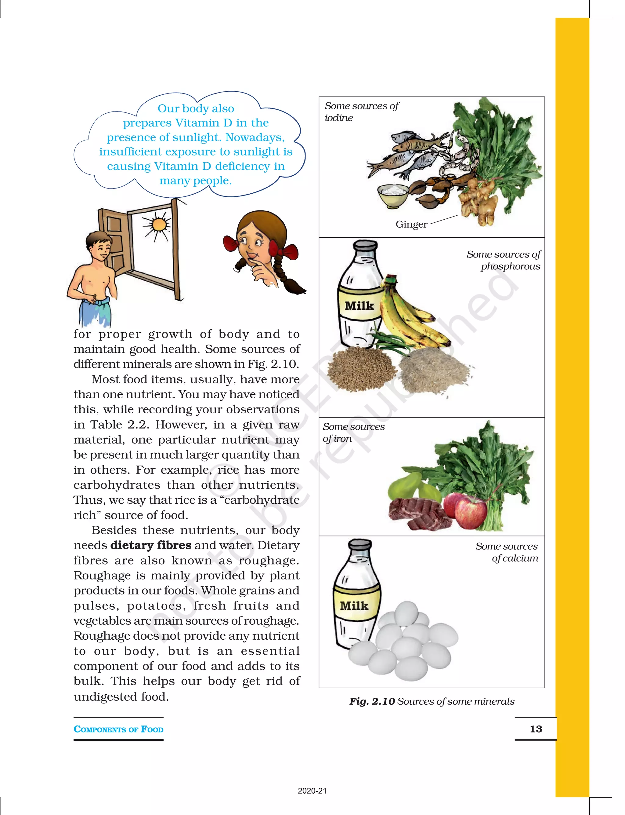 Components of food | PDF