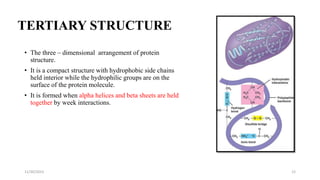 Proteins,its types and chemistry | PPT