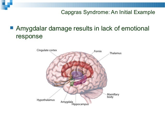 Cog5 lecppt chapter02