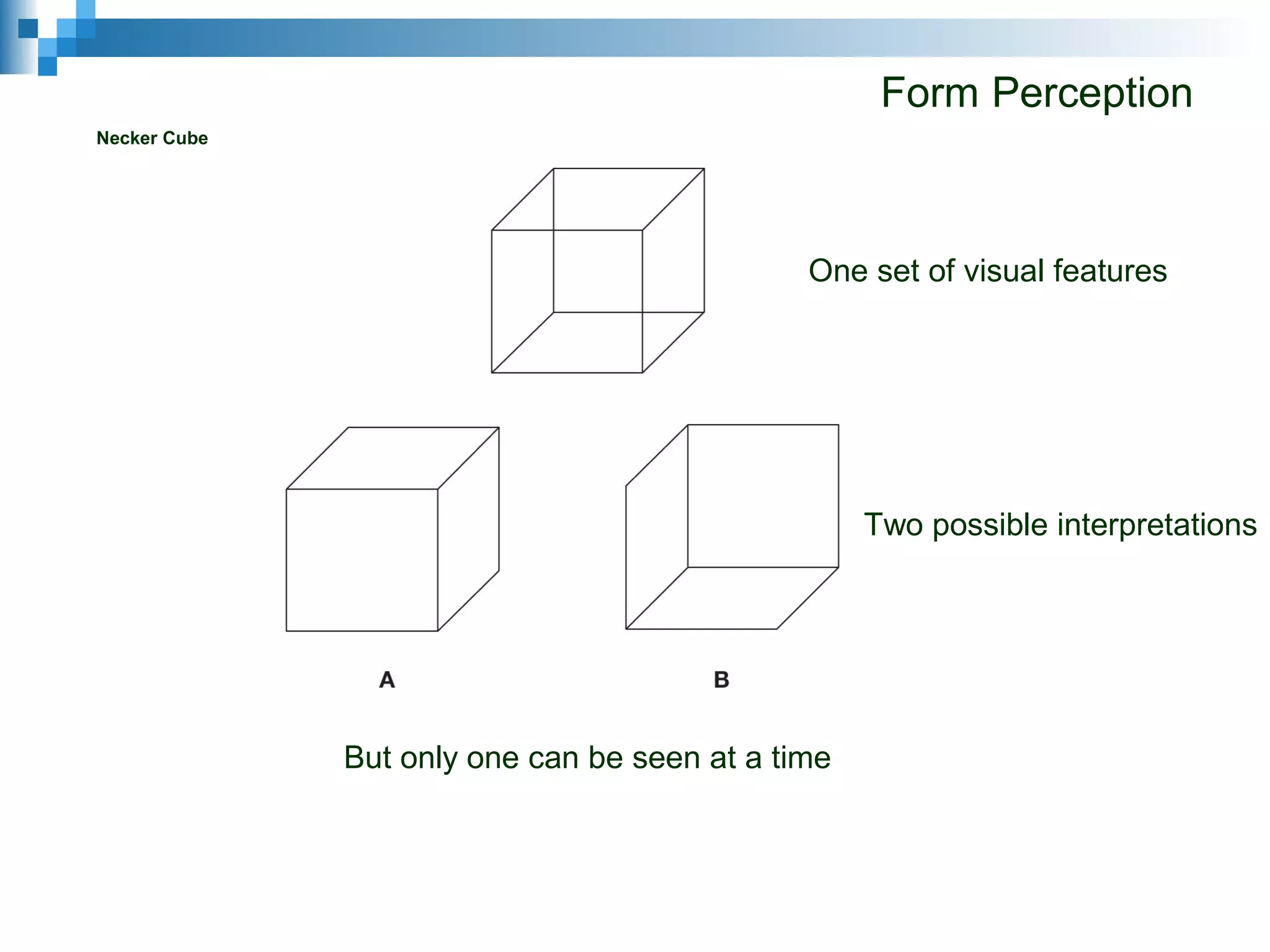 Cog5 lecppt chapter03 | PPT
