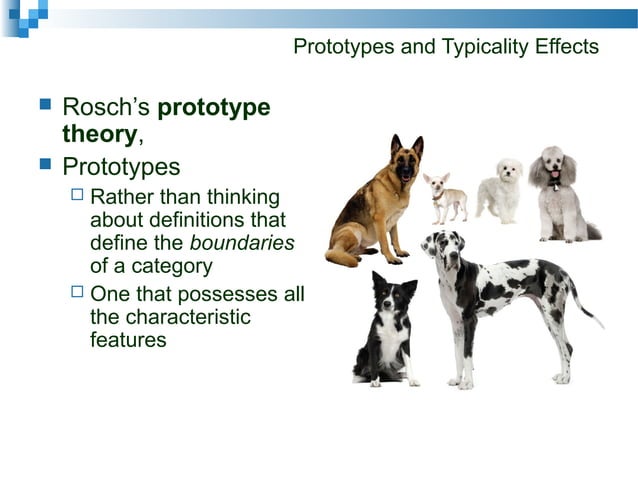 Cog5 lecppt chapter08 | PPT