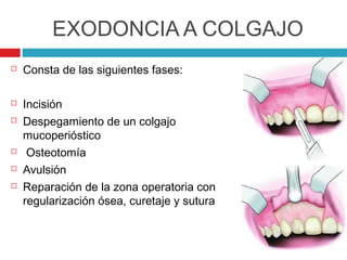 Cogajo | PPT