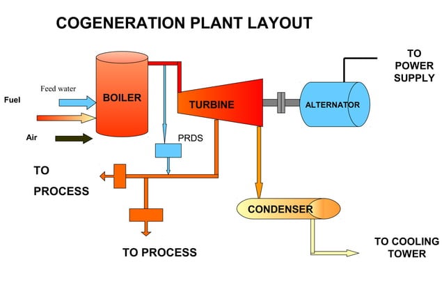 Cogeneration power plant