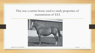 Coggins test | PPTX | Infectious Diseases | Diseases and Conditions