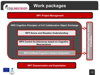 CogLaboration. Project summary | PPT