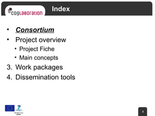 CogLaboration. Project summary | PPT