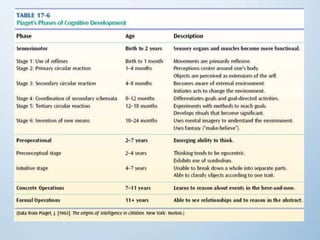 Cognitive development of childhood | PPTX