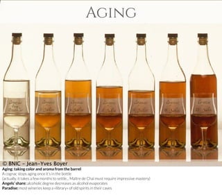 A taste of Cognac | PDF