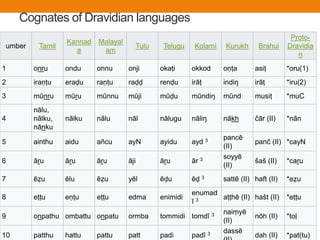 Cognate language learning and foreign language learning.pptx