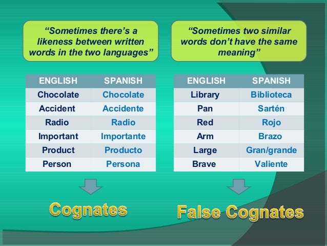 What Is A Cognate Course?