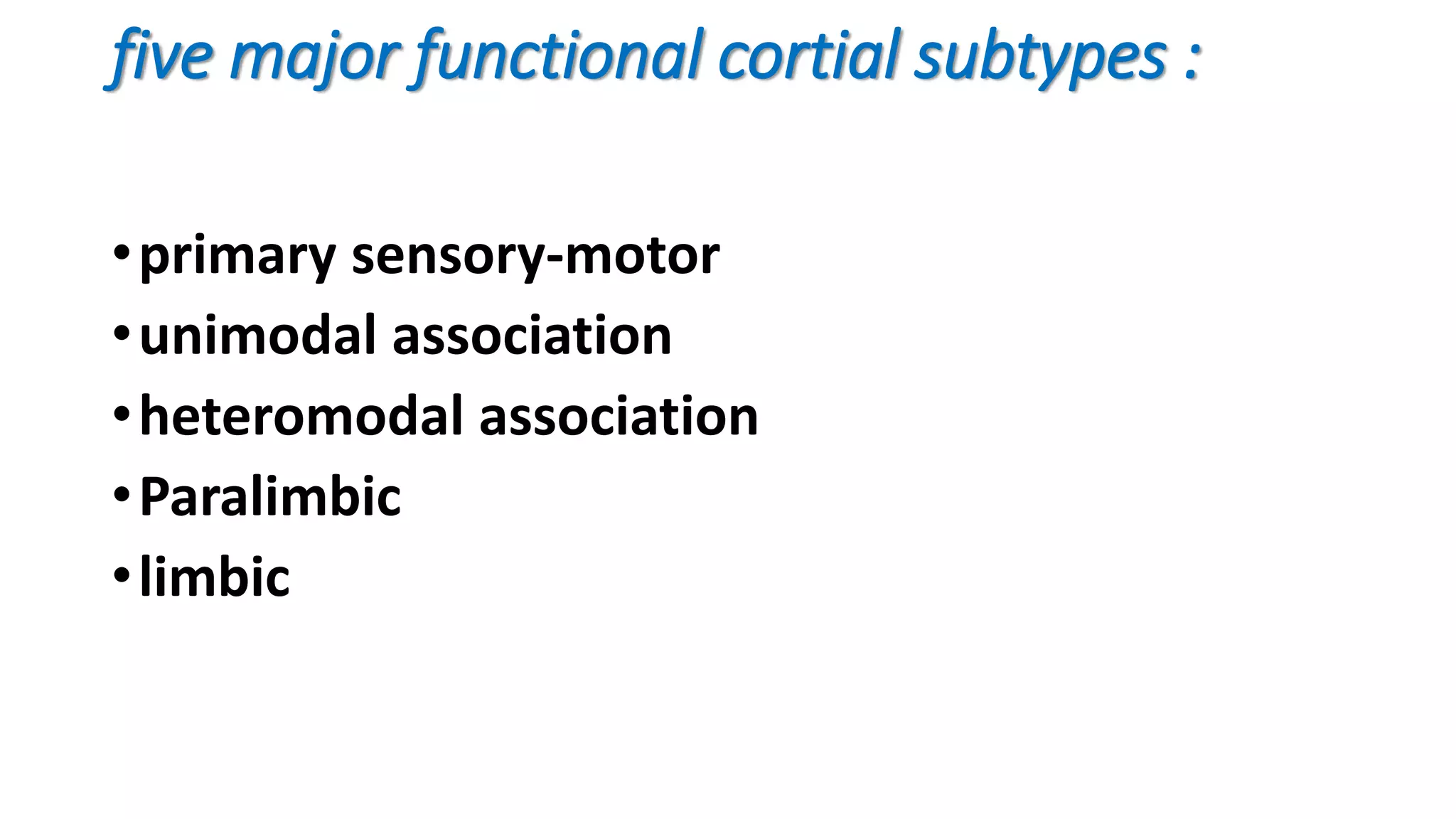 Cognitive circuits in neurology | PPTX