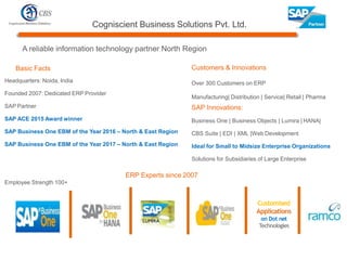 SAP Business One ERP Partner | PPT
