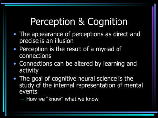 Cognition | PPT