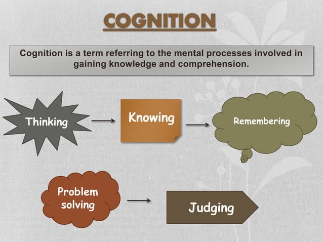 Cognition and Cognitive Disorders | PPT