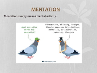 Cognition and Cognitive Disorders | PPTX