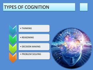 Cognition | PPTX