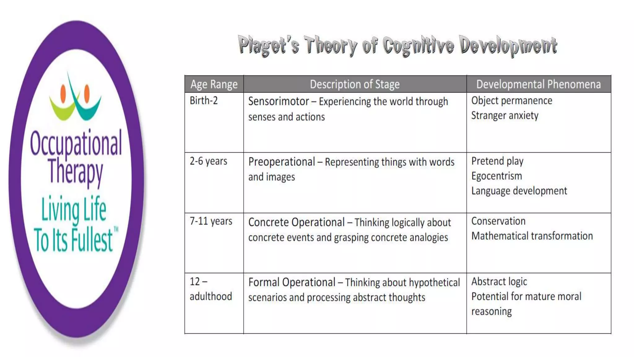 Occupational Therapy & Cognition | PPTX | Brain and Nervous System Disorders | Diseases and ...