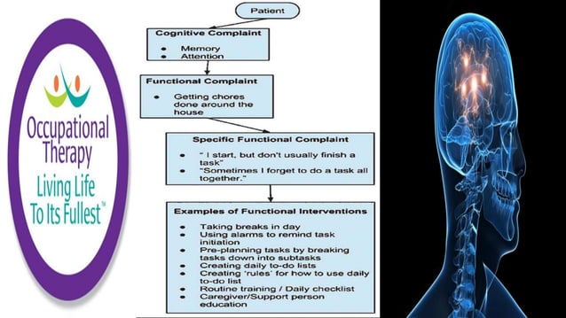 Occupational Therapy & Cognition | PPTX | Brain and Nervous System ...