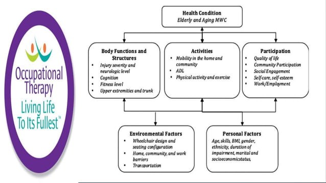 Occupational Therapy & Cognition | PPTX | Brain and Nervous System ...