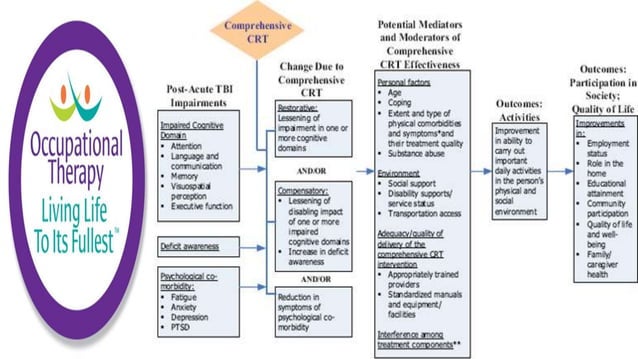 Occupational Therapy & Cognition