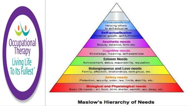 Occupational Therapy & Cognition