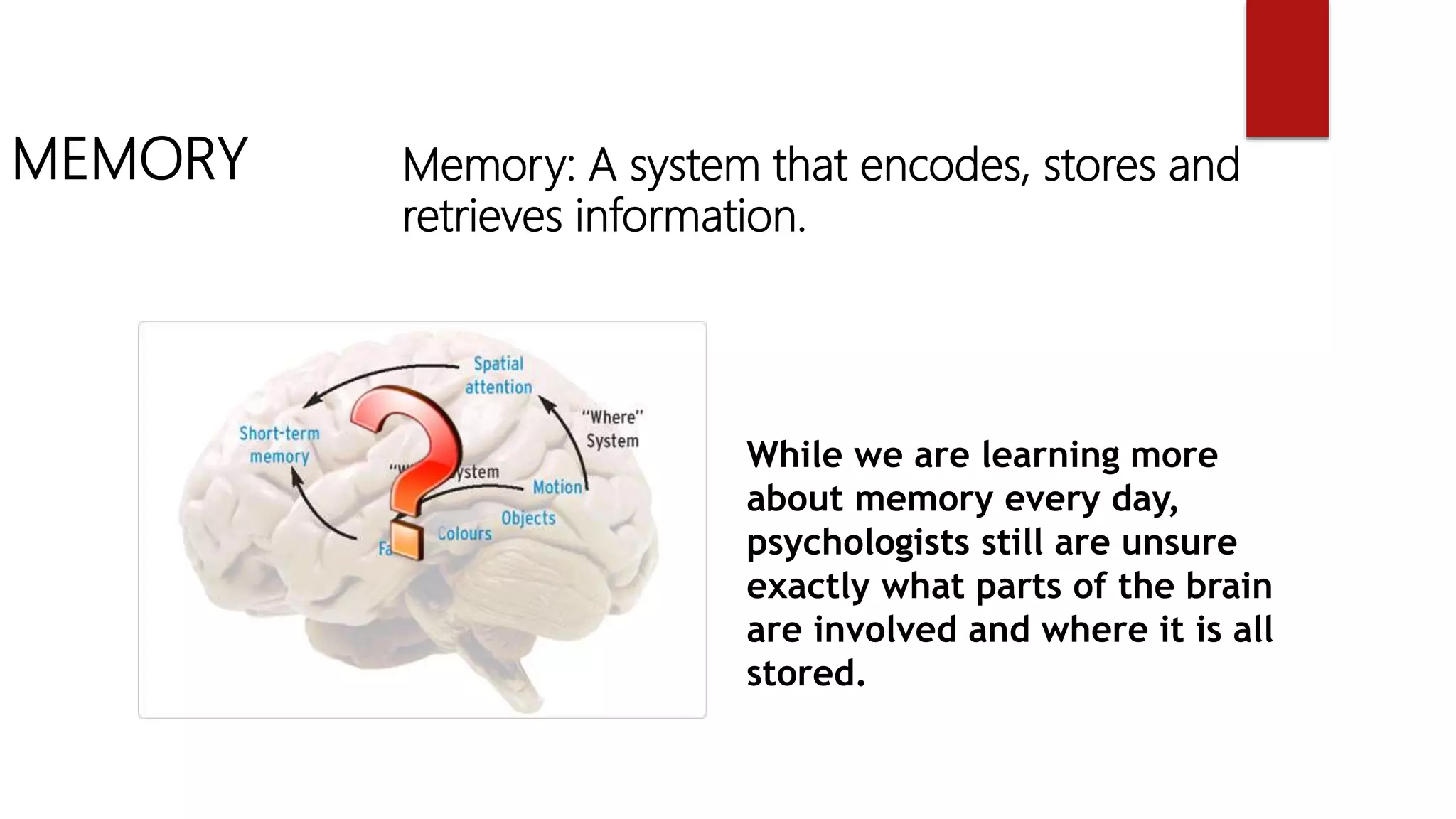 Cognition: memory and its parts | PPT