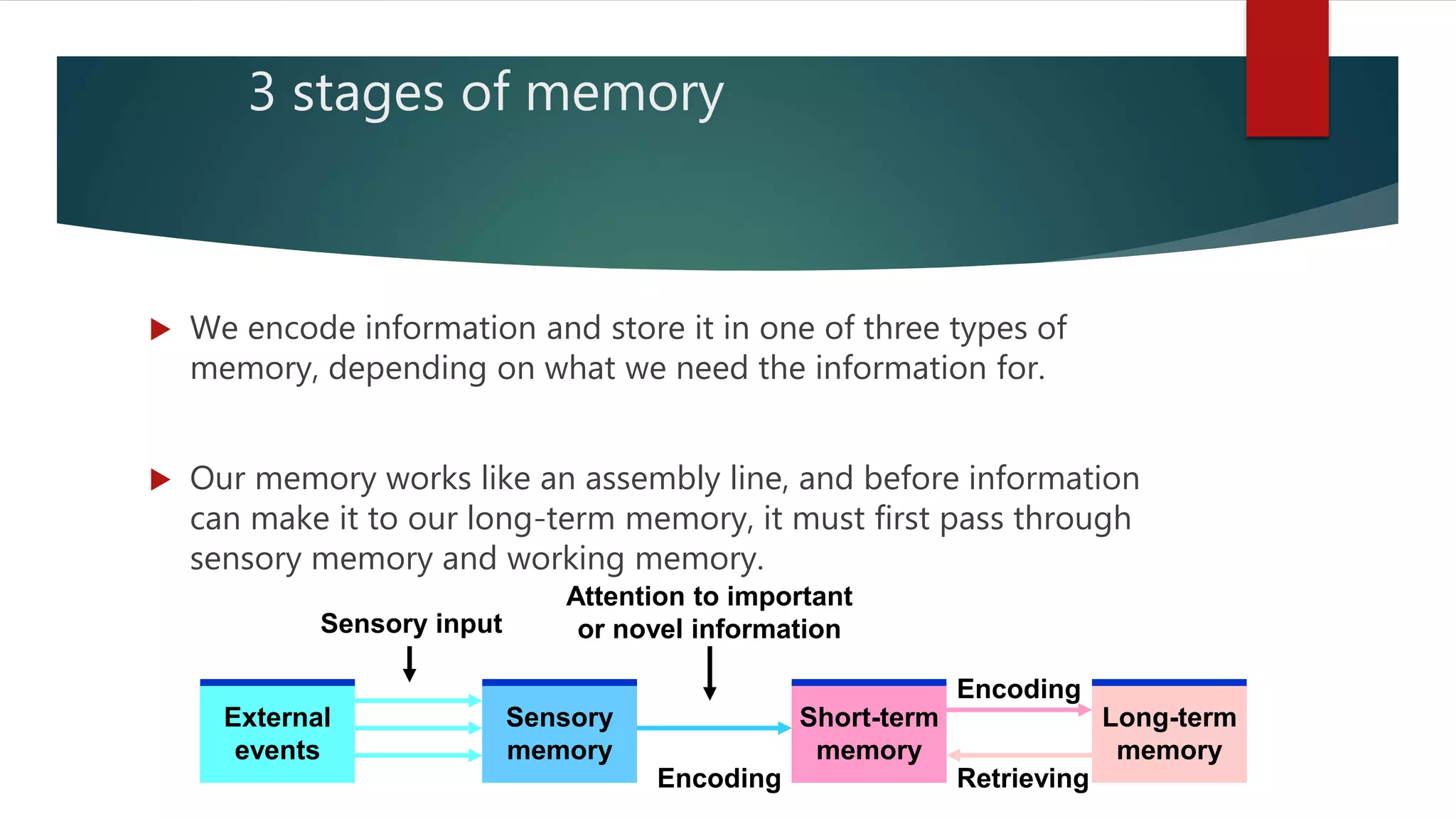 Cognition: memory and its parts | PPT