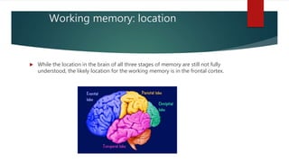 Cognition: memory and its parts | PPTX