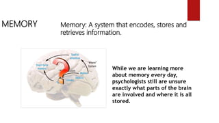 Cognition: memory and its parts | PPT