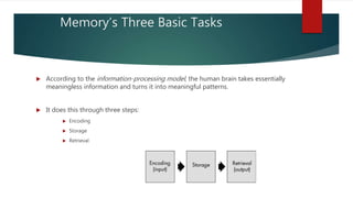Cognition: memory and its parts | PPT