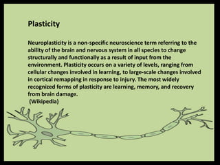 Neuroplasticity and related concepts in Cognition | PDF