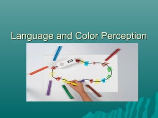 cognition and perception | PPT