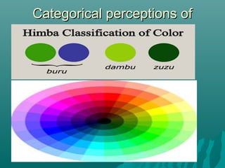 cognition and perception | PPT