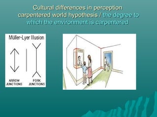 cognition and perception | PPT