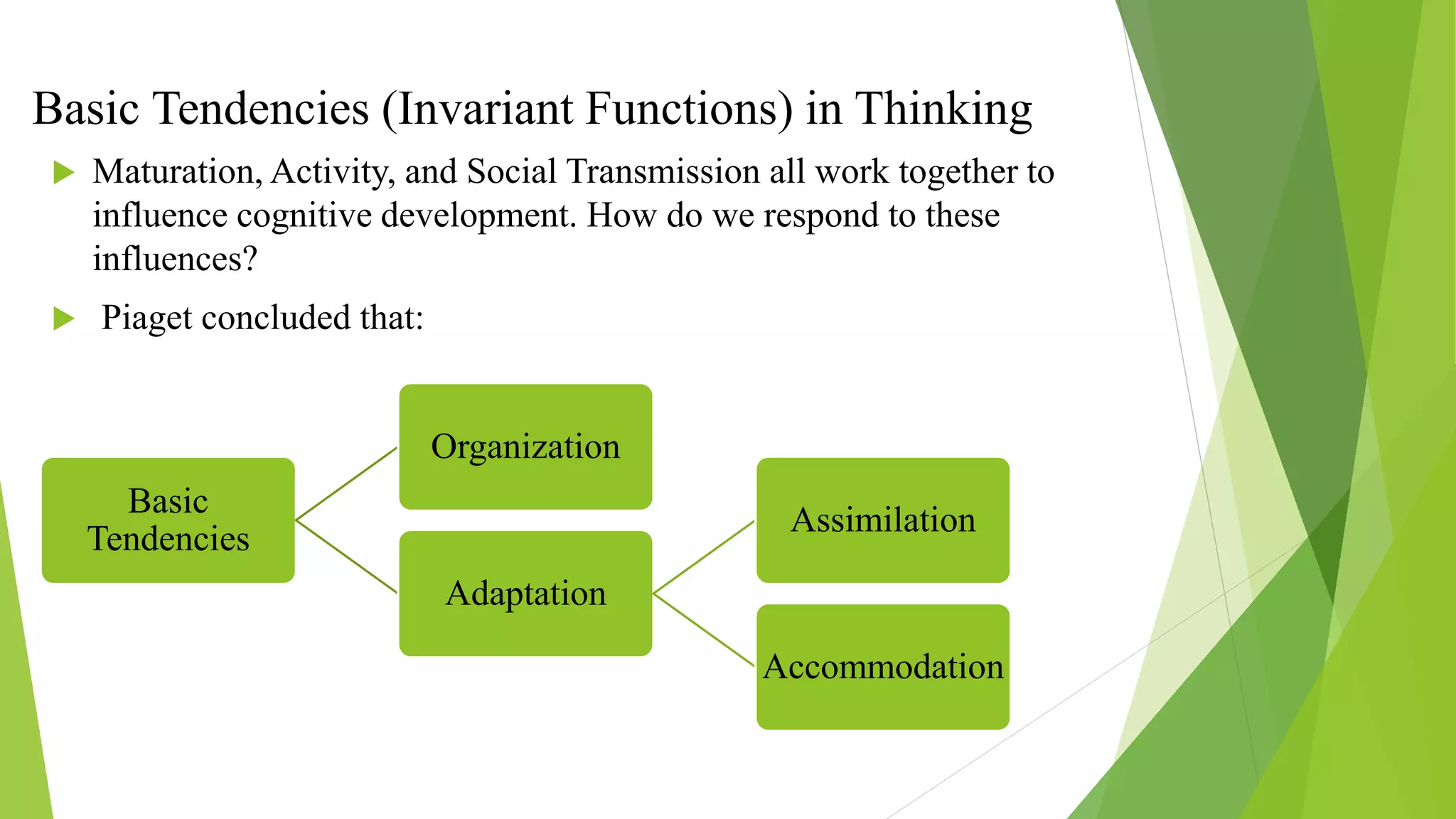 Cognitive approaches to learning piaget | PPTX