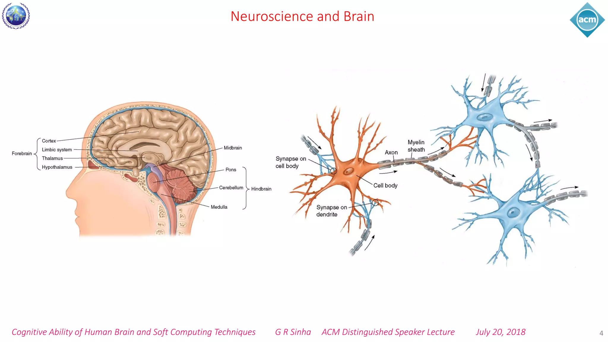 Cognitive ability of human brain and soft computing techniques | PDF