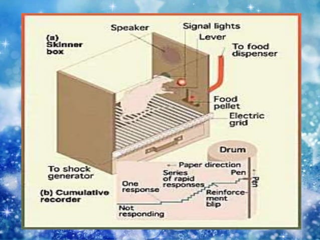 Cognitive and Affective Processes | PPTX