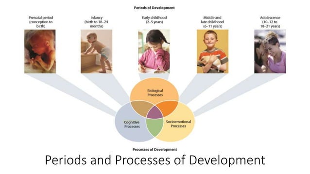 Cognitive and Language Development | PPTX
