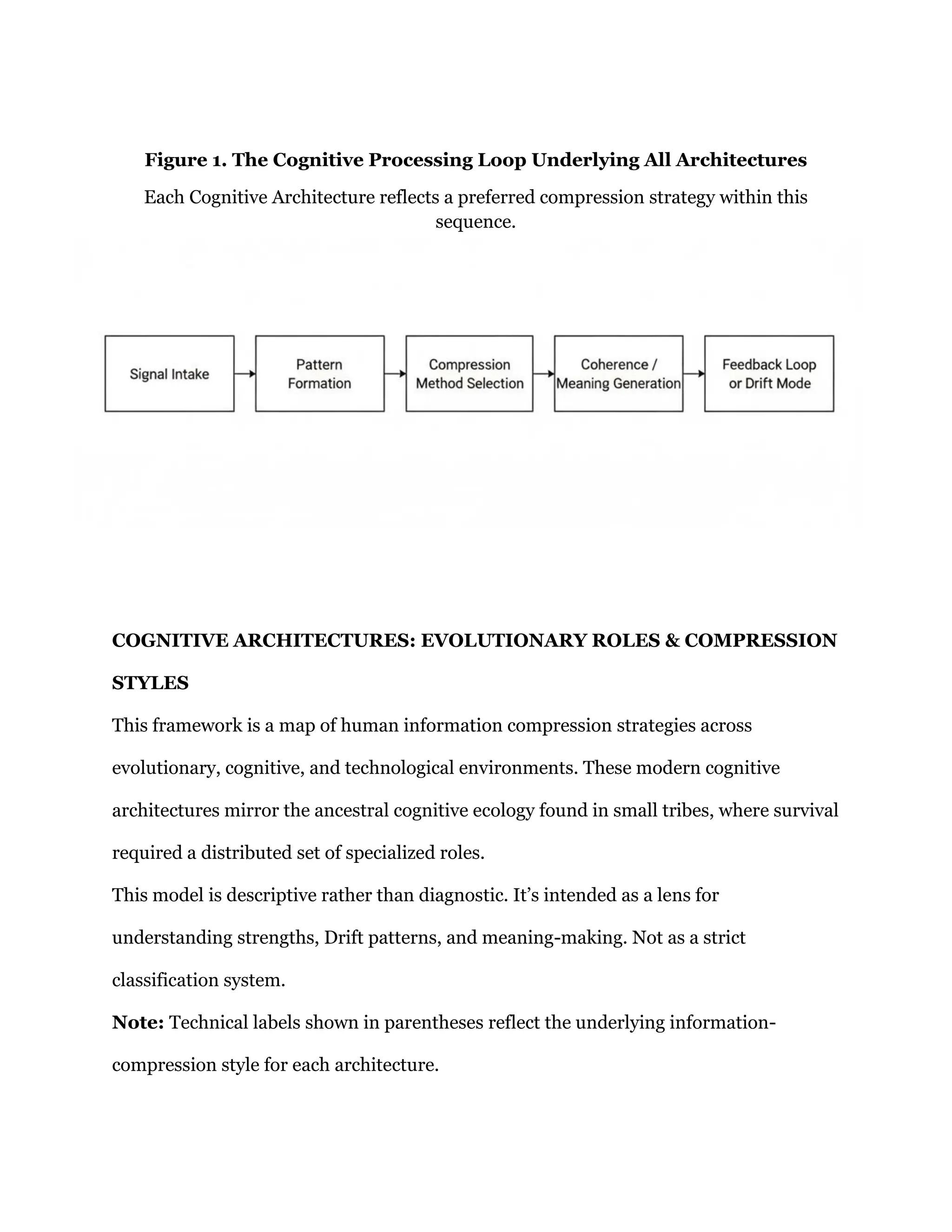 Cognitive Architectures: Information Compression, Meaning-Making, and Drift in High-Noise ...
