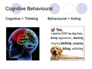 Cognitive behavioural approaches to mental health | PPT