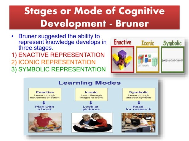Cognitive constructivism – Jerome.S. Bruner | PPTX | Education
