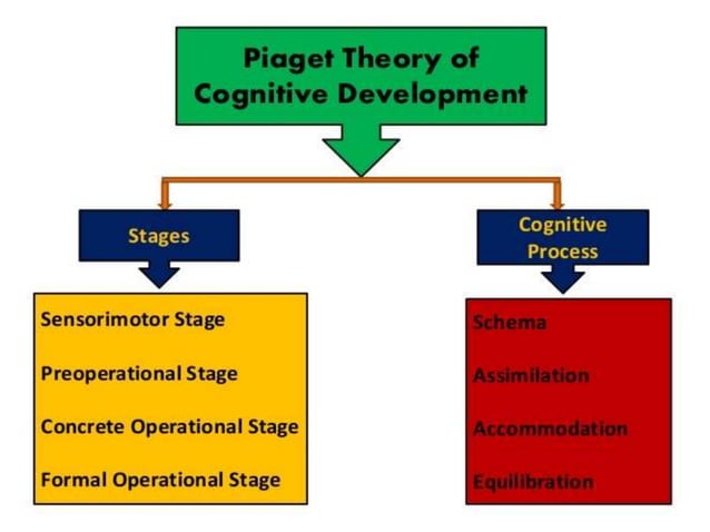 Cognitive Constructivism of Jean Piaget | PPTX