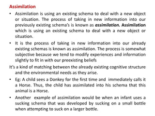 Cognitive development Piaget | PPTX