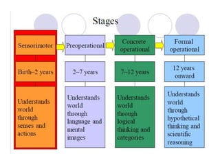 Piaget Theory PowerPoint Template PPT Slides | atelier-yuwa.ciao.jp