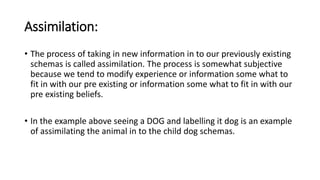 Cognitive Developemnt.pptx