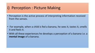 Cognitive development | PPT
