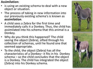 Cognitive development | PDF