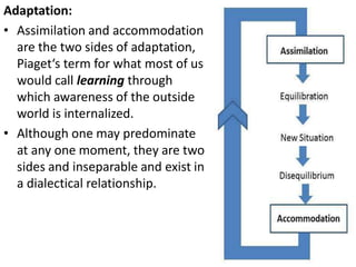 Cognitive development | PDF